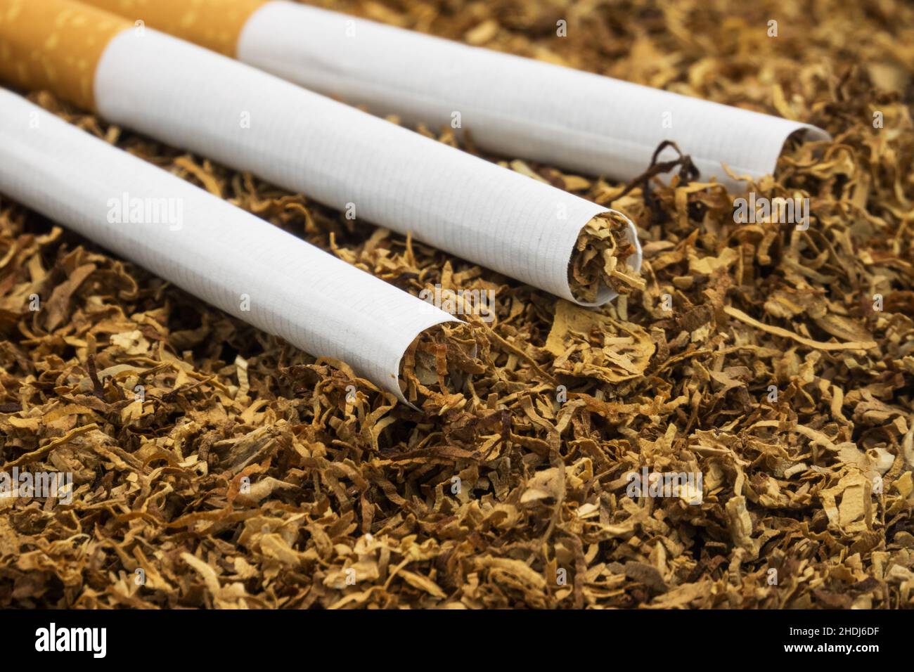 Tobacco cigarettes -Fotos und -Bildmaterial in hoher Auflösung – Alamy