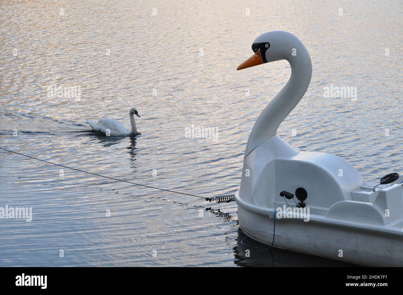 Tretboot boote -Fotos und -Bildmaterial in hoher Auflösung – Alamy
