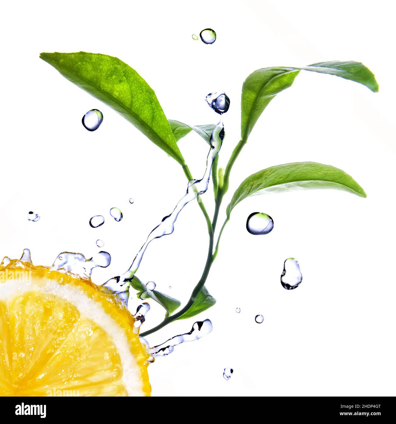 Scheiben von zitronen objektfotografie Stockfotos und -bilder Kaufen ...