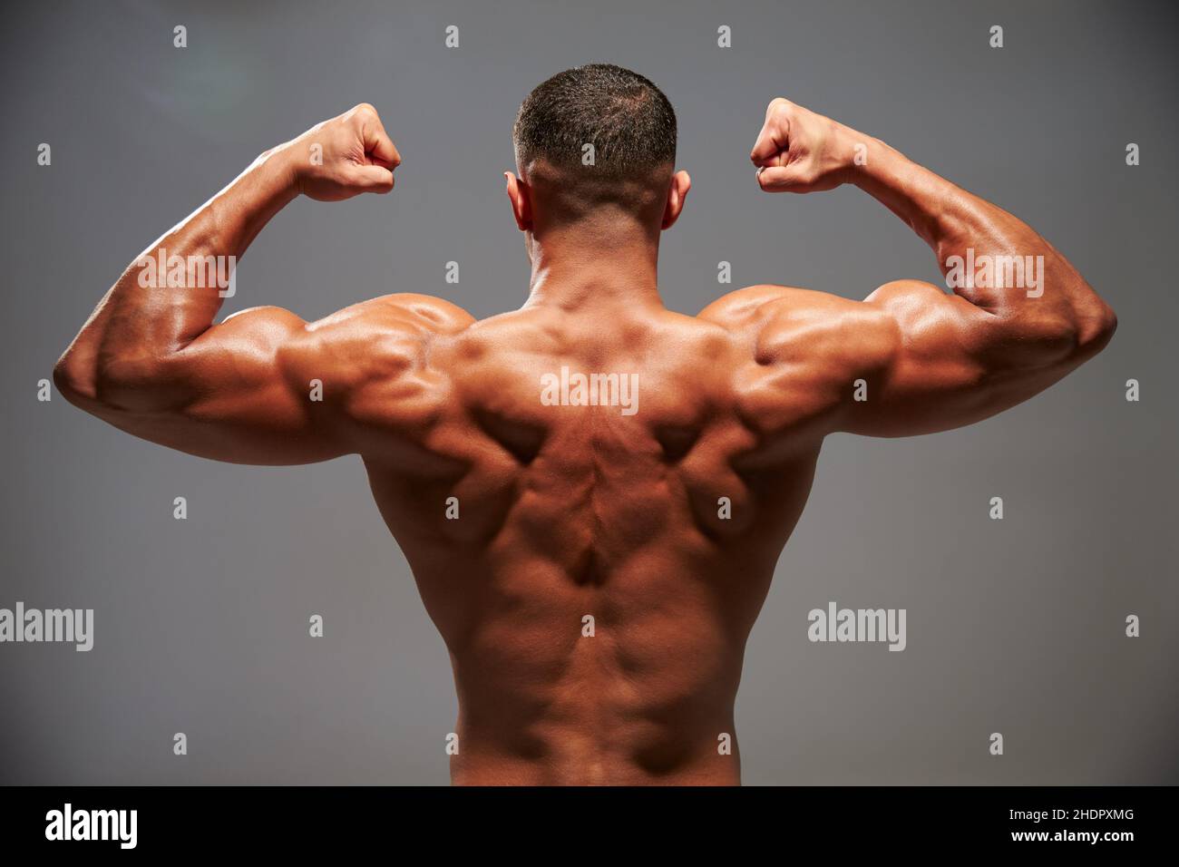 Trapez und deltamuskel -Fotos und -Bildmaterial in hoher Auflösung – Alamy