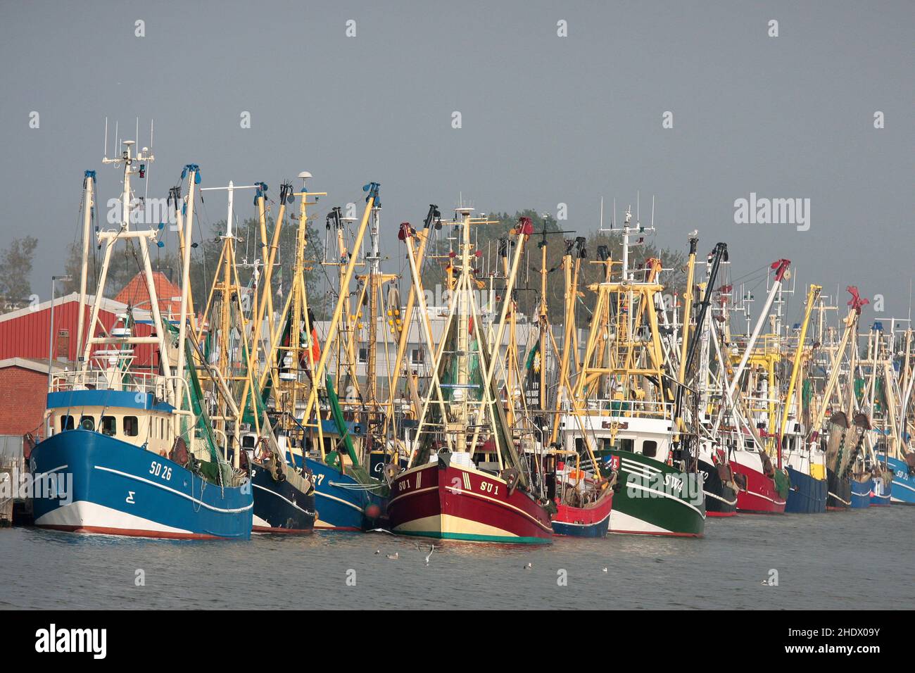 Hafen von busum -Fotos und -Bildmaterial in hoher Auflösung – Alamy