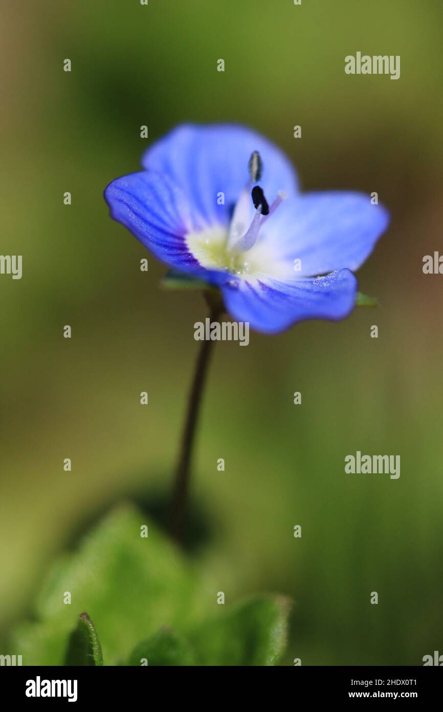 Auszeichnung tag -Fotos und -Bildmaterial in hoher Auflösung – Alamy