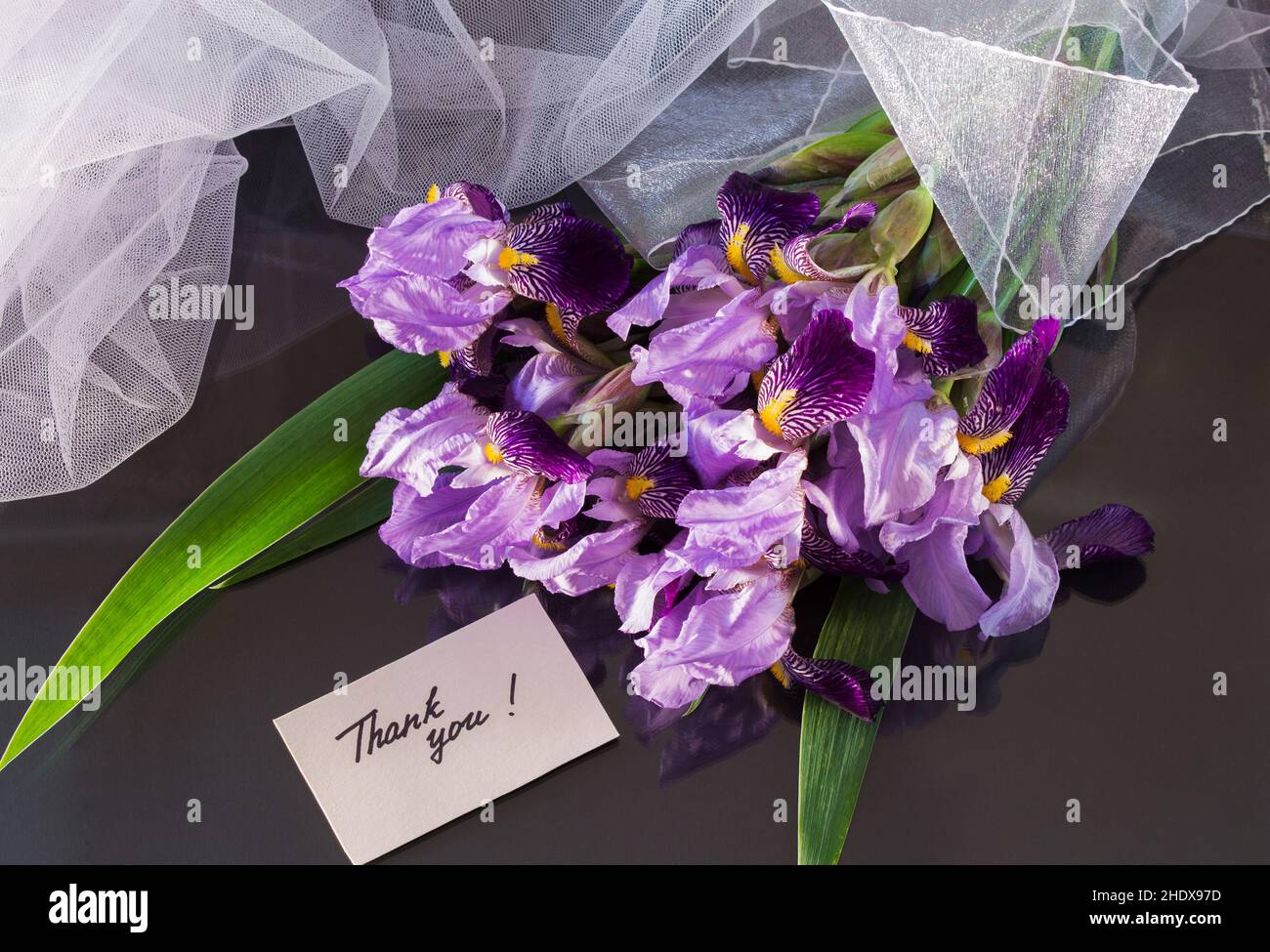 Iris sanguinea -Fotos und -Bildmaterial in hoher Auflösung – Alamy