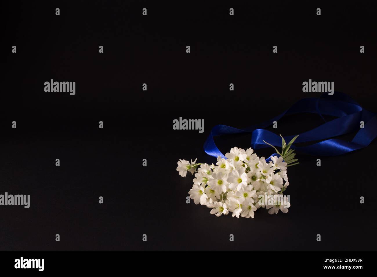 Trauer schwarz -Fotos und -Bildmaterial in hoher Auflösung – Alamy