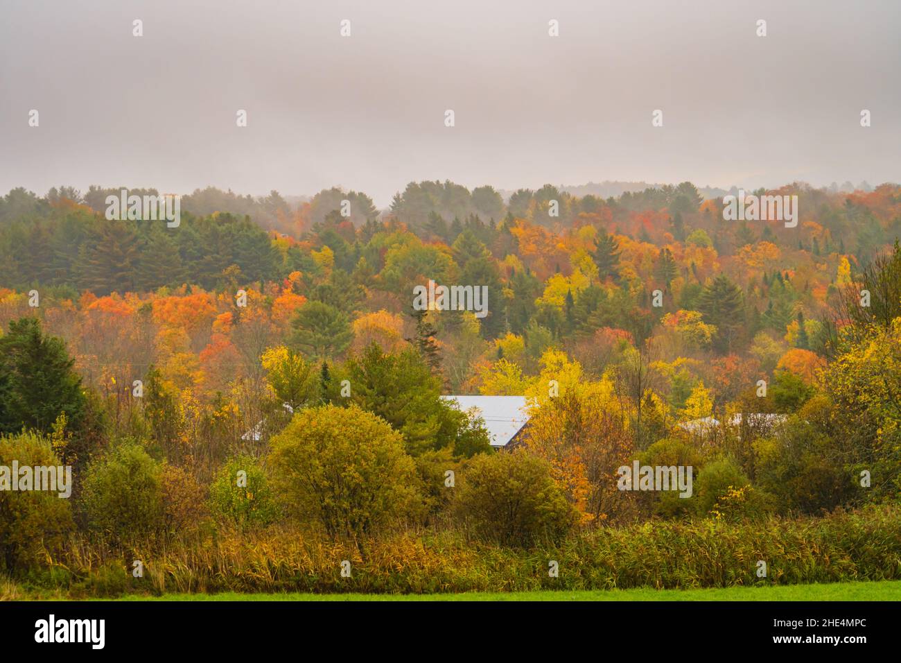 Regnerisch herbst -Fotos und -Bildmaterial in hoher Auflösung – Alamy