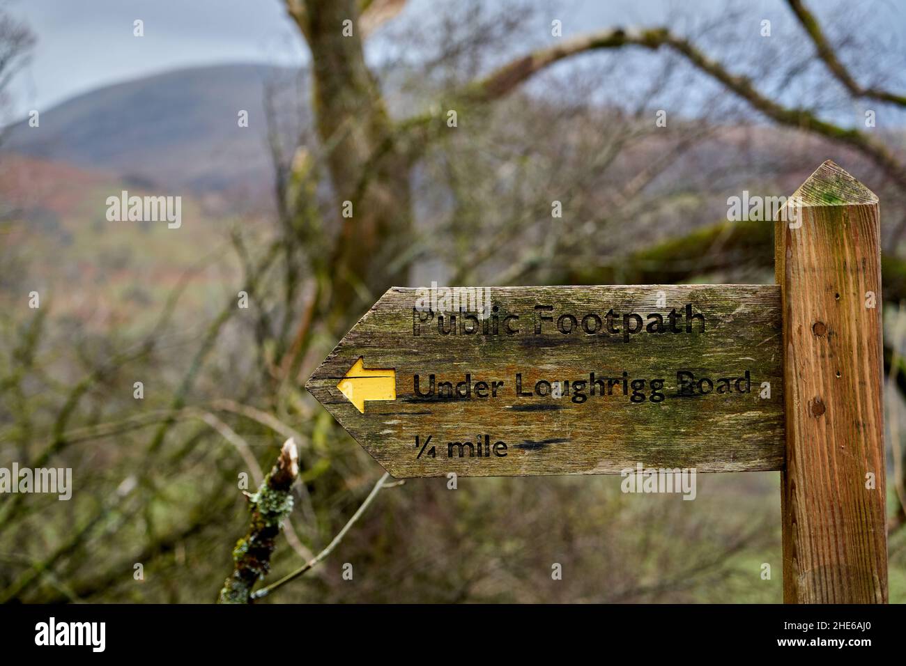 Wooden pole direction signs -Fotos und -Bildmaterial in hoher Auflösung ...