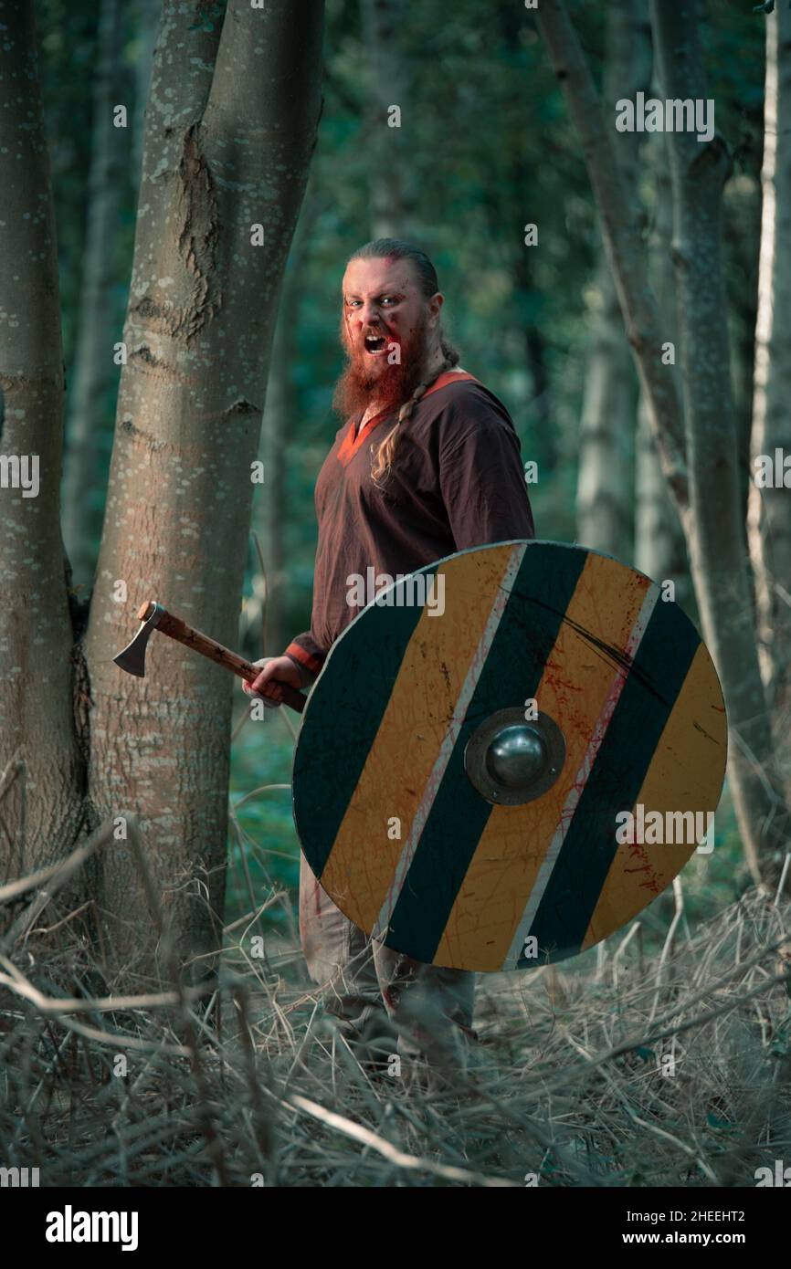 Aggressiver männlicher Krieger, der mit Axt und Schild bei der ...