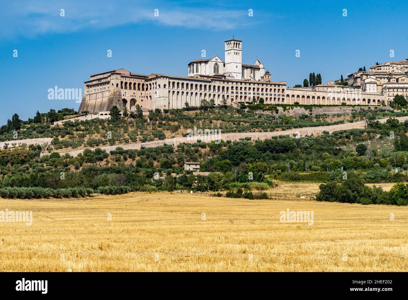 Blick auf Assisi und den Komplex der Basilika des Heiligen Franziskus ...