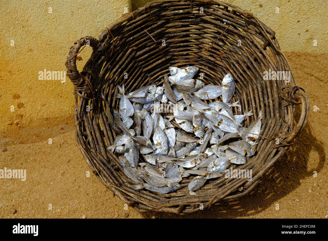 Fisch im korb -Fotos und -Bildmaterial in hoher Auflösung – Alamy