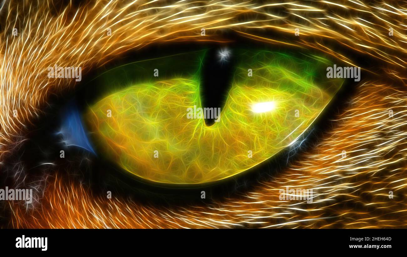 Fv fd -Fotos und -Bildmaterial in hoher Auflösung – Alamy