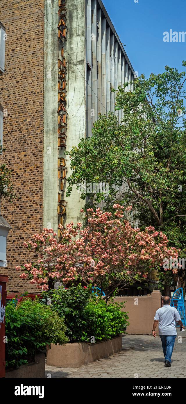 Veer nariman road -Fotos und -Bildmaterial in hoher Auflösung – Alamy