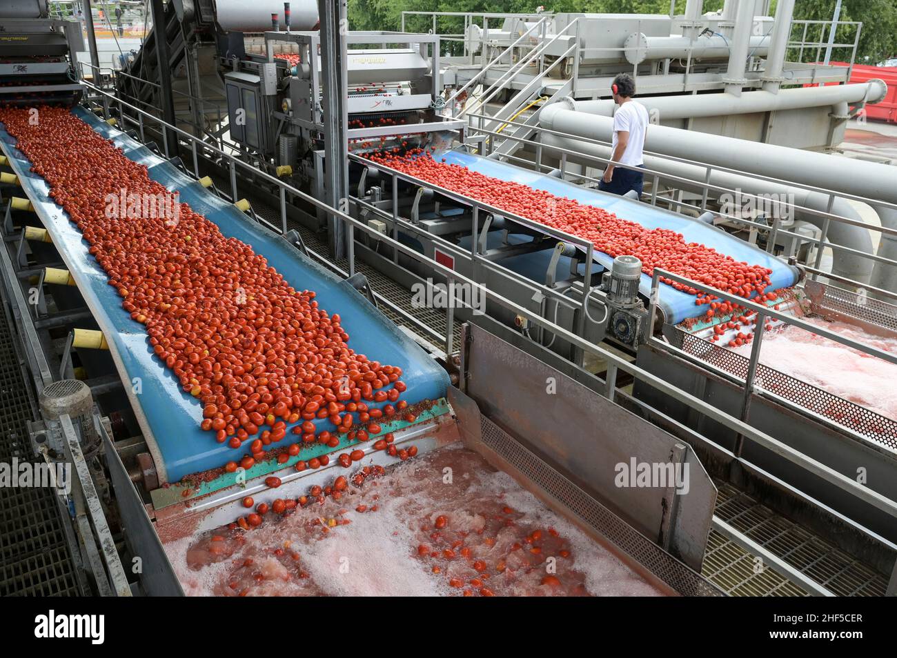 Tomate in dose -Fotos und -Bildmaterial in hoher Auflösung – Alamy