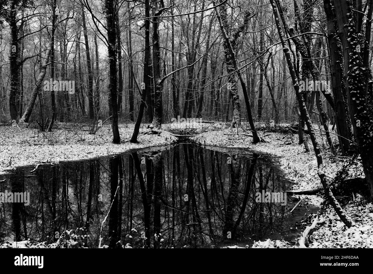 Verschneiter wald fluss -Fotos und -Bildmaterial in hoher Auflösung – Alamy