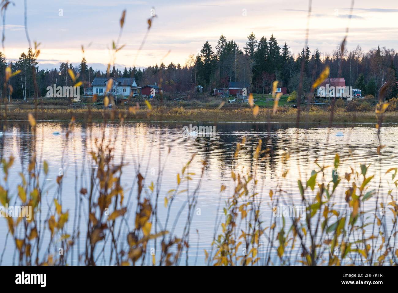 Delta natur -Fotos und -Bildmaterial in hoher Auflösung – Alamy