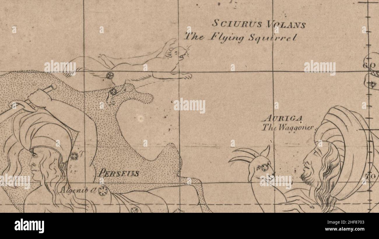 Sciurus volans -Fotos und -Bildmaterial in hoher Auflösung – Alamy