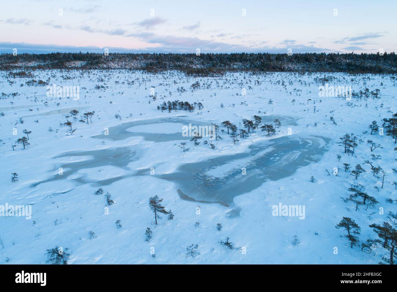Verdunkelndes moor -Fotos und -Bildmaterial in hoher Auflösung – Alamy
