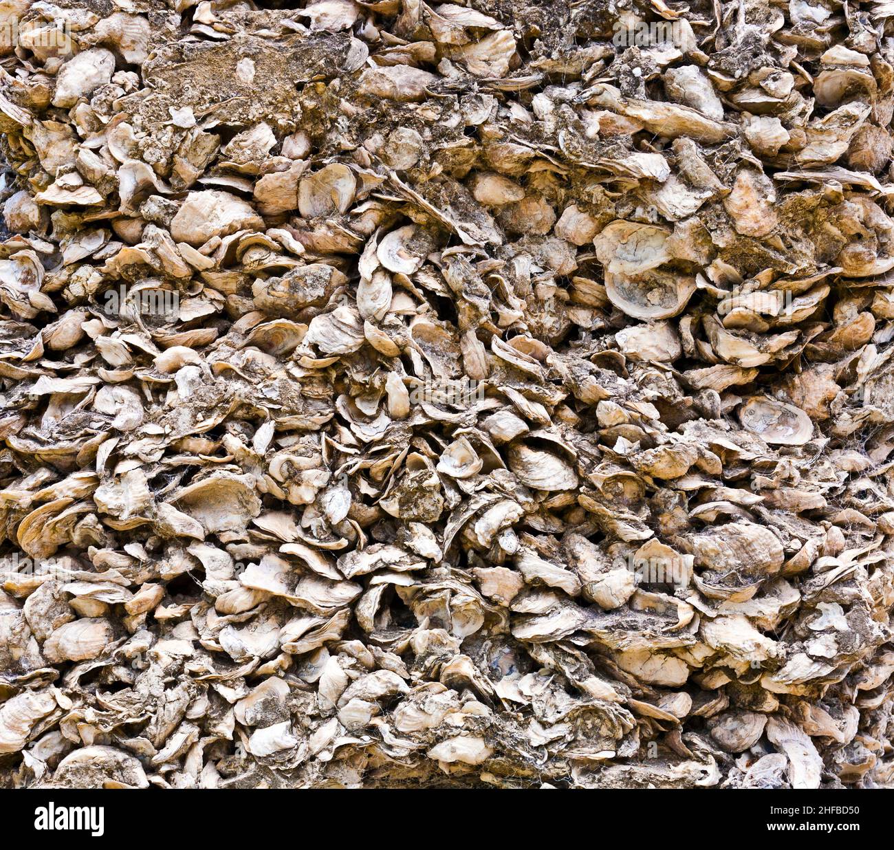 Beton in der meeresumwelt -Fotos und -Bildmaterial in hoher Auflösung ...