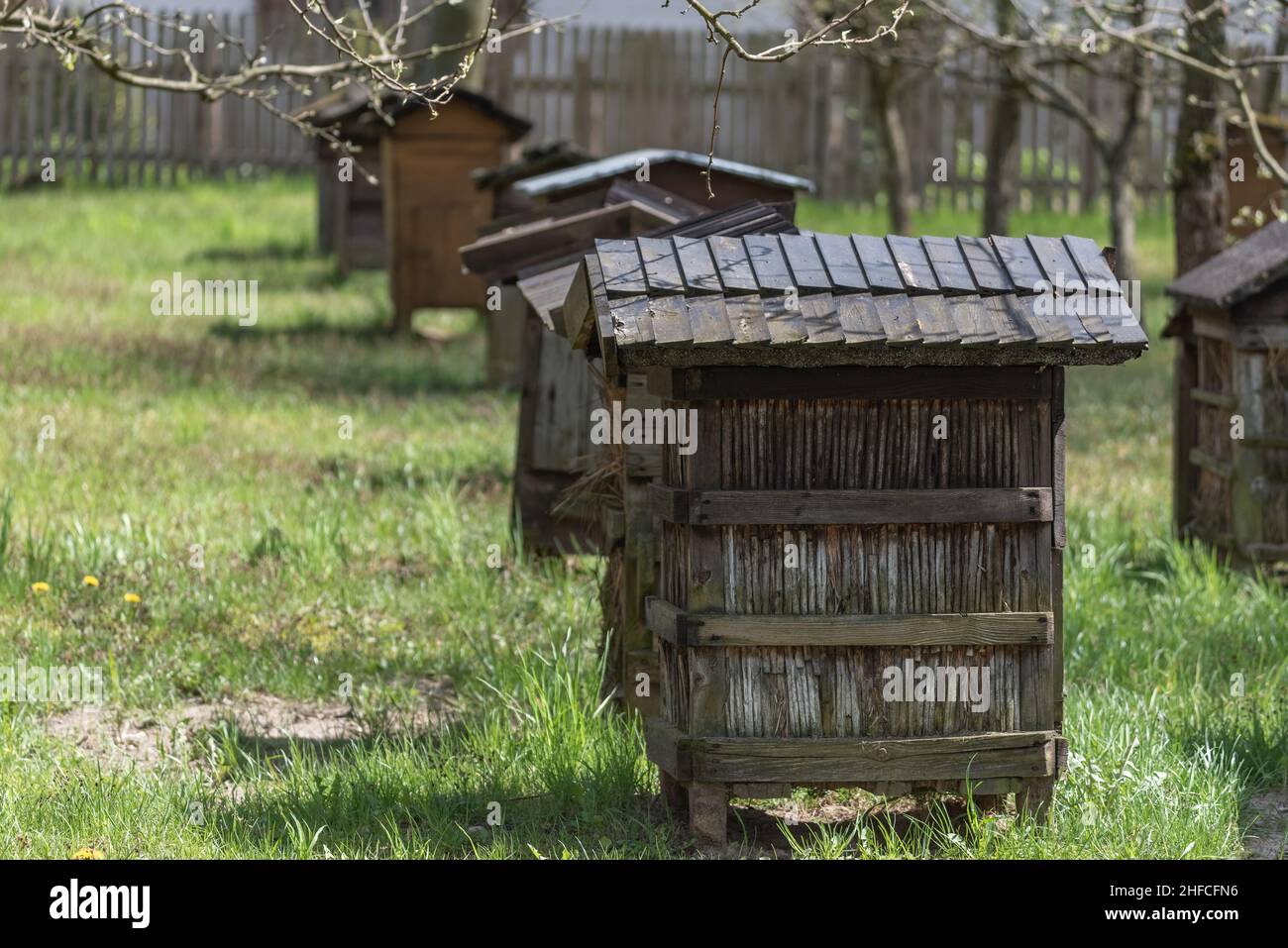 Bienenstöcke aus Holz für Bienen auf grünem Gras mit gelben Blüten ...