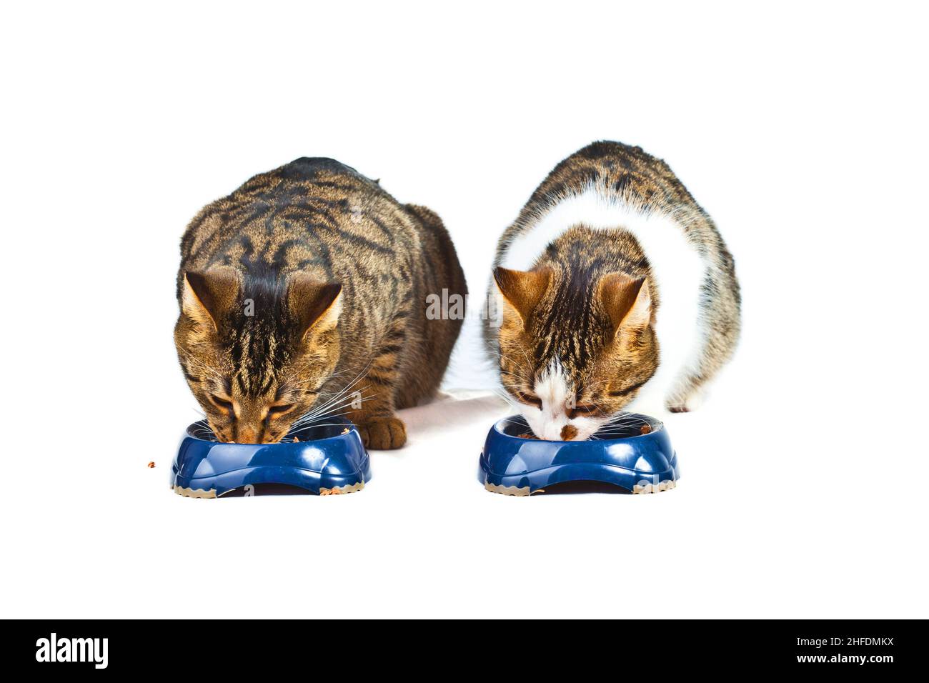 Fleisch haar mahlzeit Ausgeschnittene Stockfotos und -bilder - Alamy