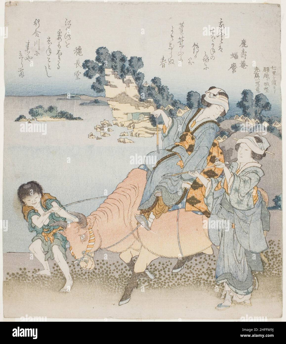 Ochsen reiten -Fotos und -Bildmaterial in hoher Auflösung – Alamy