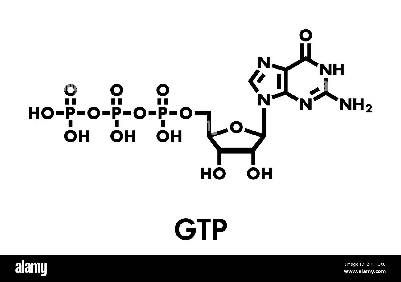 Guanosin Triphosphat (GTP) RNA-Baustein Molekül. Auch als Energie ...
