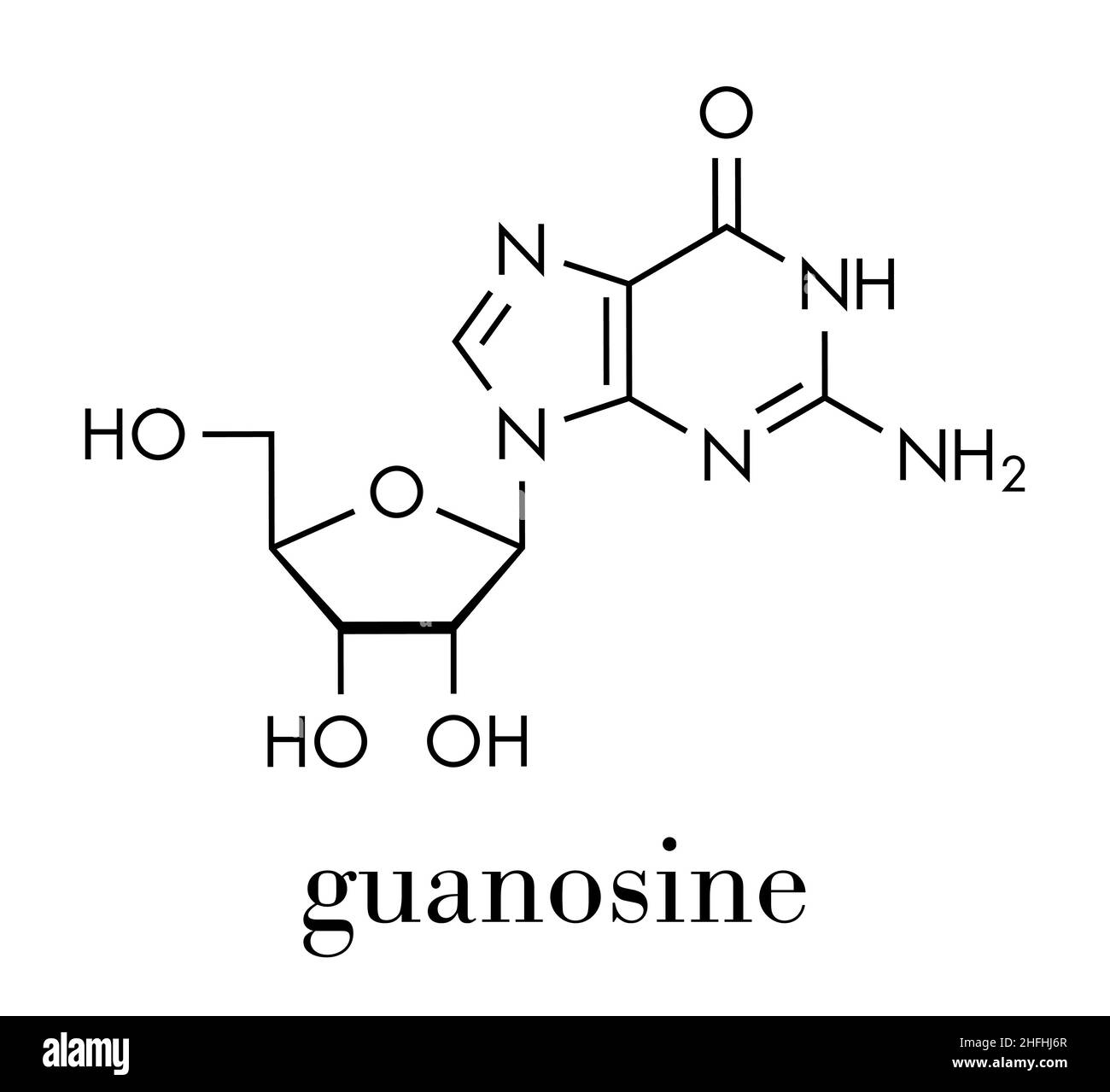 Nukleinmolekül Guanosin-Purin. Wichtiger Bestandteil von GTP, GDP, cGMP ...