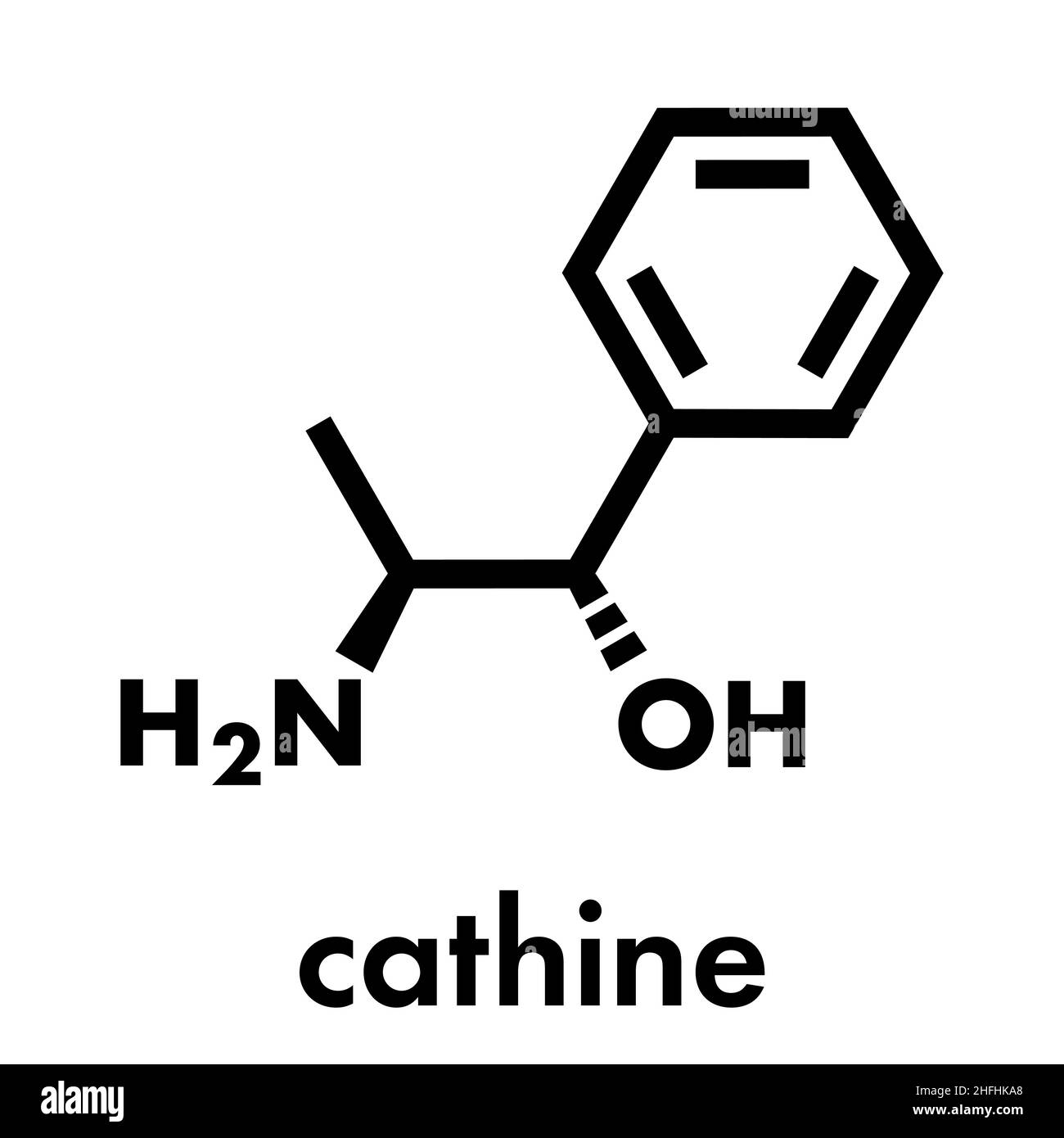 Catha edulis Stock-Vektorgrafiken kaufen - Alamy