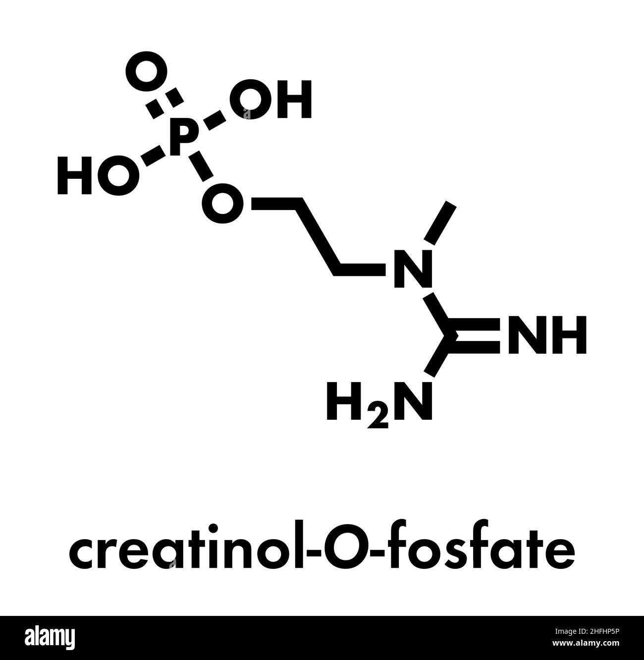 Creatinol-O-Phosphat oder COP Molekül. Skelettmuskulatur Formel Stock ...