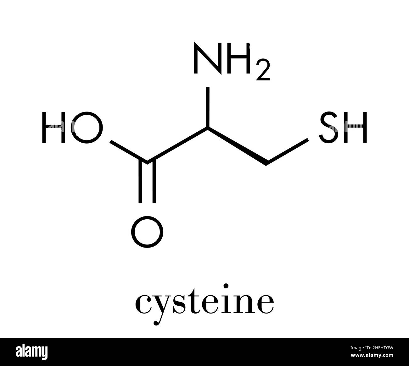 L cystin -Fotos und -Bildmaterial in hoher Auflösung – Alamy