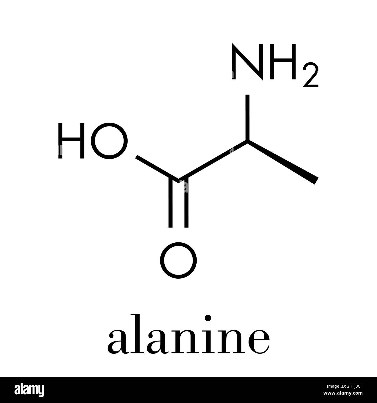 Alanin (L-Alanin, Ala, A) Aminosäure Molekül. Skelettmuskulatur Formel ...