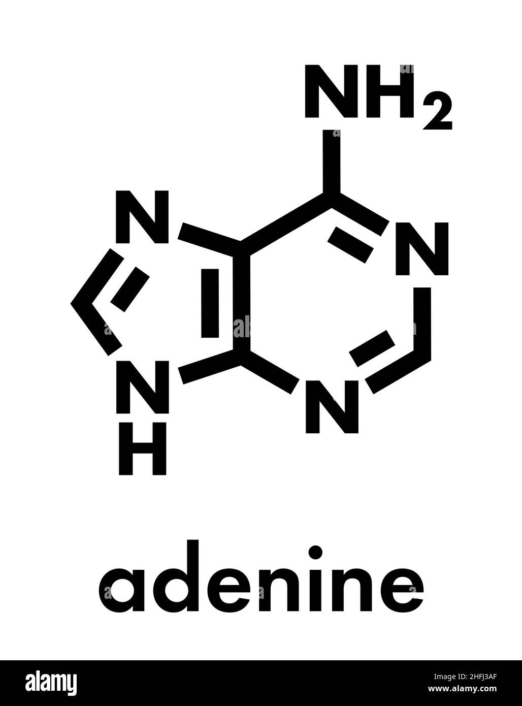 Adenin (A, Adenin) Purin-Nukleobase-Molekül. Base in DNA und RNA ...
