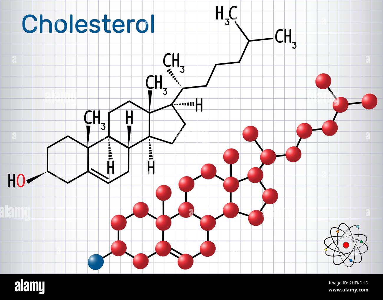 Cholesterinmolekül. Strukturelle chemische Formel und Molekülmodell ...