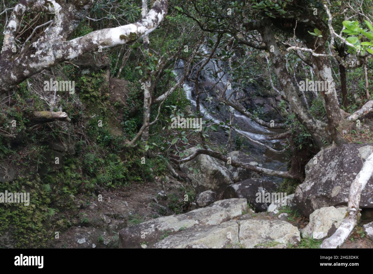 Aussichtspunkt alexandra falls -Fotos und -Bildmaterial in hoher ...