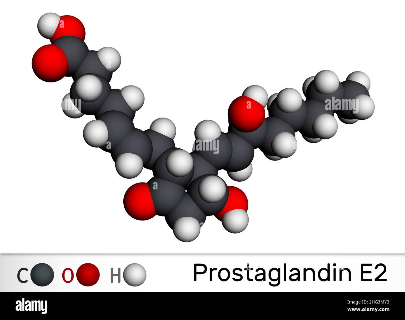 Prostaglandin e2 pge2 -Fotos und -Bildmaterial in hoher Auflösung – Alamy