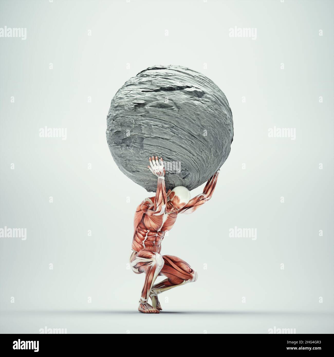 Male muscular system -Fotos und -Bildmaterial in hoher Auflösung – Alamy