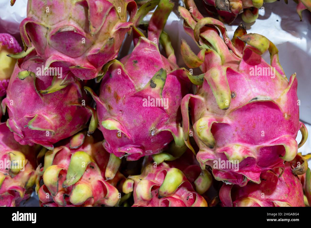 Drachenfrucht bauernhof -Fotos und -Bildmaterial in hoher Auflösung – Alamy