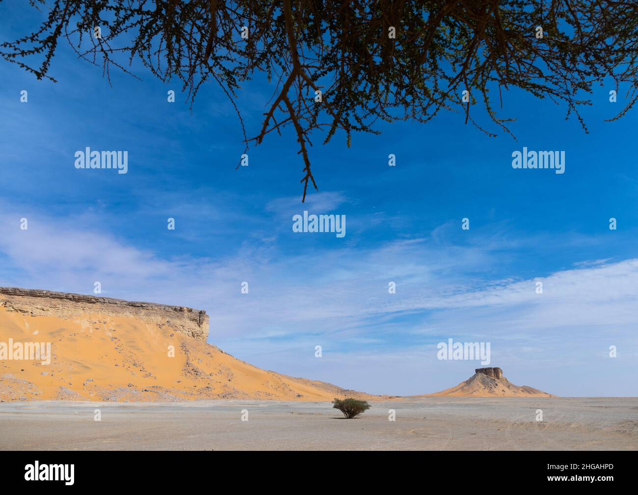 Leeres viertel -Fotos und -Bildmaterial in hoher Auflösung – Alamy