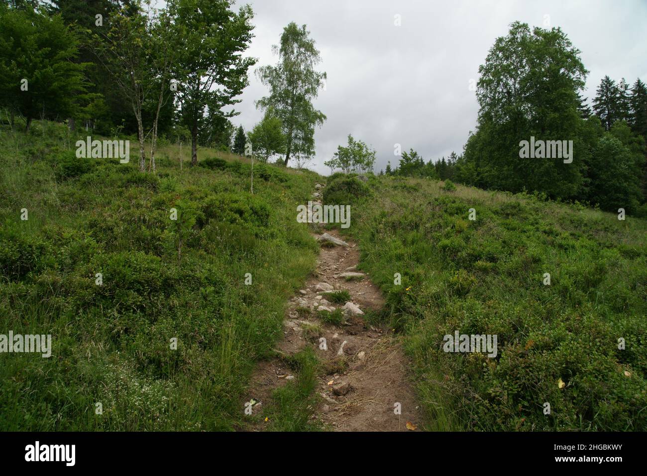 Steiniger weg mit personen -Fotos und -Bildmaterial in hoher Auflösung ...