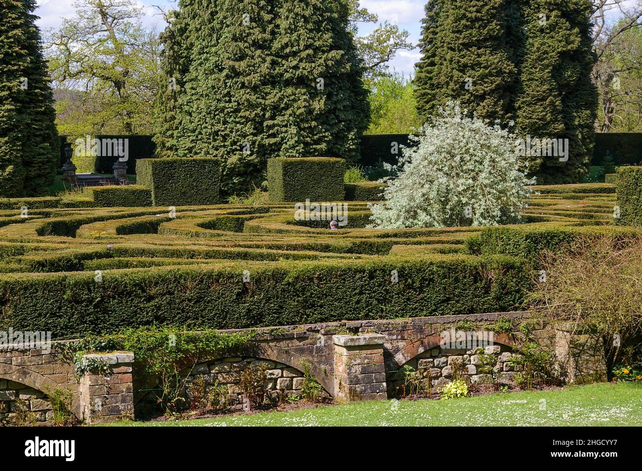 Yew maze -Fotos und -Bildmaterial in hoher Auflösung – Alamy