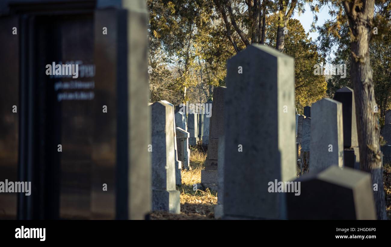Gedreht auf dem zentralen Friedhof in wien an einem kalten, aber ...
