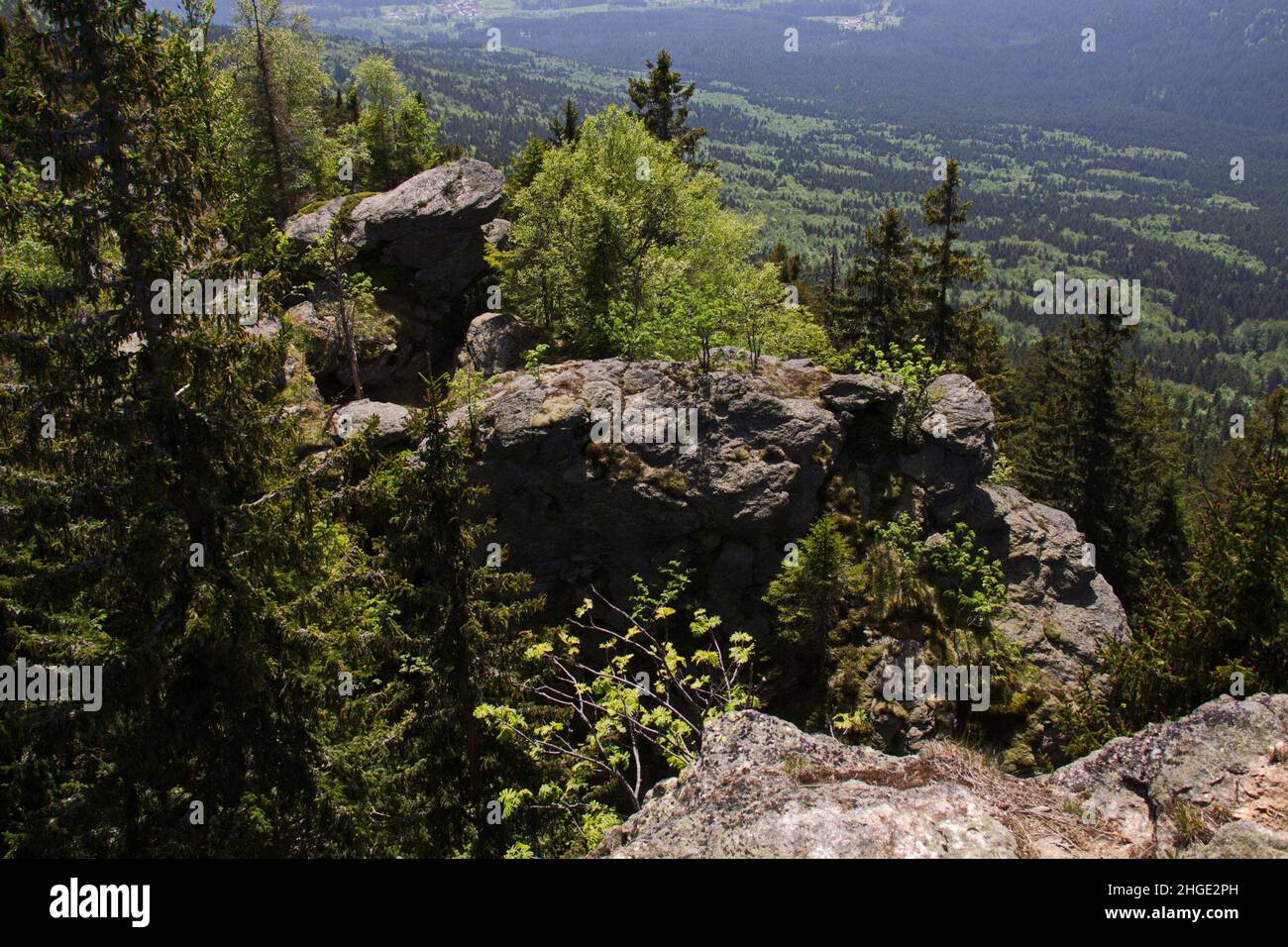 Falkenstein bavarian forest -Fotos und -Bildmaterial in hoher Auflösung ...