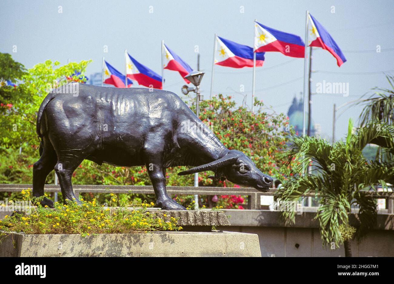 Eine lebensgroße Carabao-Statue (Wasserbüffel) auf Burnham Green im ...