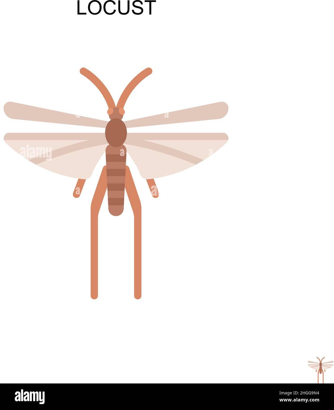 Locust einfache Vektor-Symbol.perfekte Farbe modernes Piktogramm auf ...