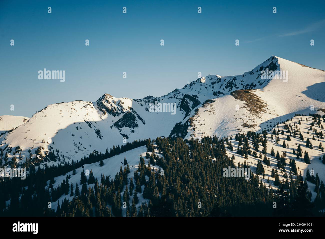 Nadelwald winter -Fotos und -Bildmaterial in hoher Auflösung – Alamy