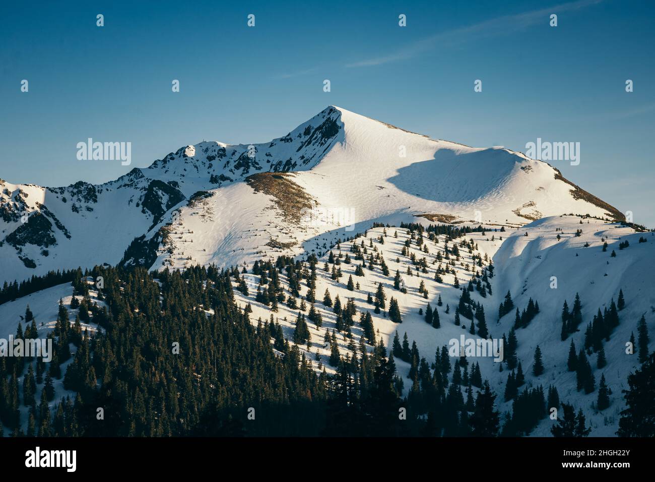 Nadelwald winter -Fotos und -Bildmaterial in hoher Auflösung – Alamy