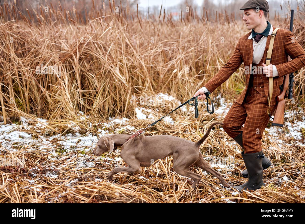 Grauer Hund führt den Mann des Besitzers Mann Jäger zur Seite, leitet ...