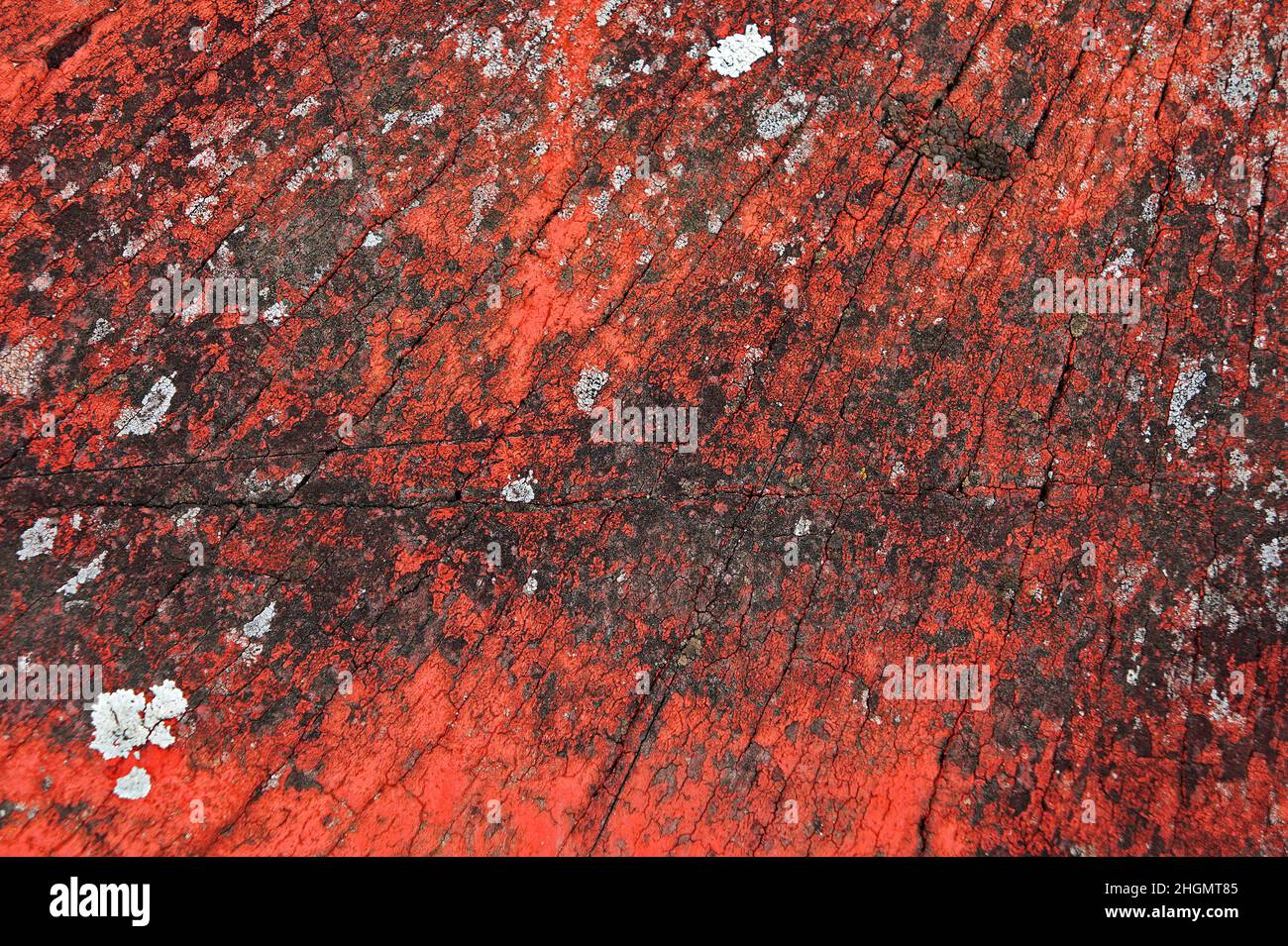 Rot lackiertes holz -Fotos und -Bildmaterial in hoher Auflösung – Alamy