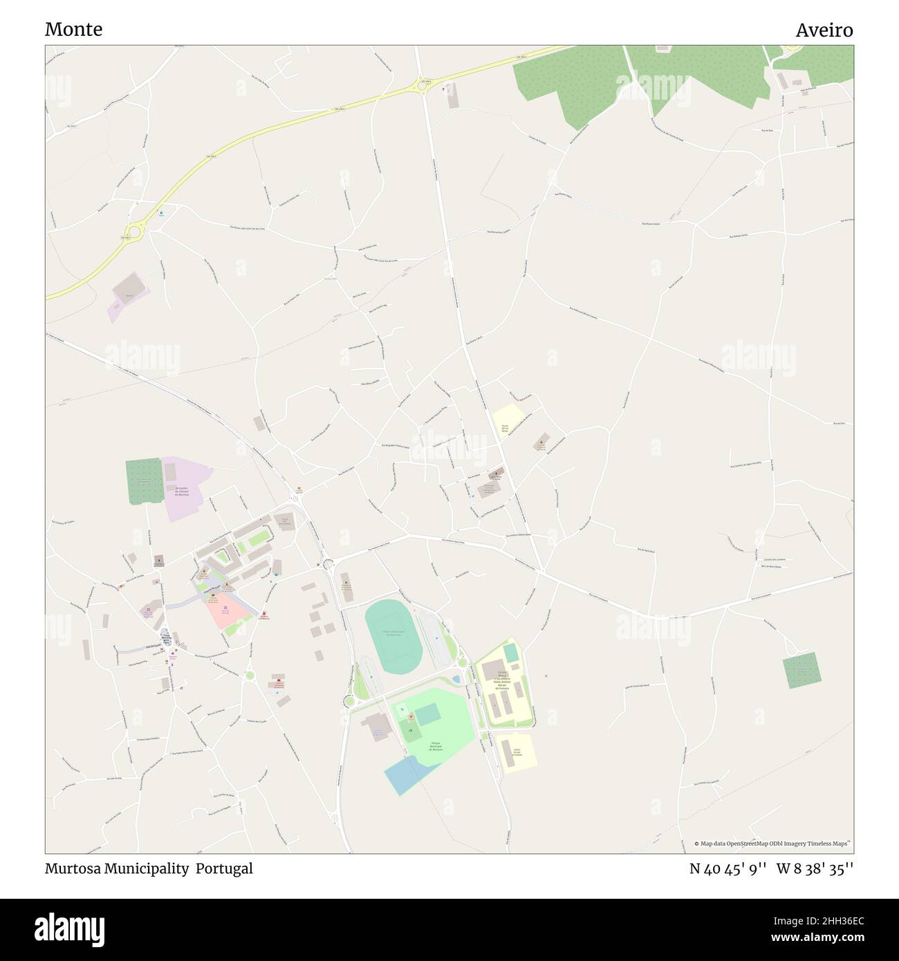 Monte, Municipio Murtosa, Portugal, Aveiro, N 40 45' 9'', W 8 38' 35 ...