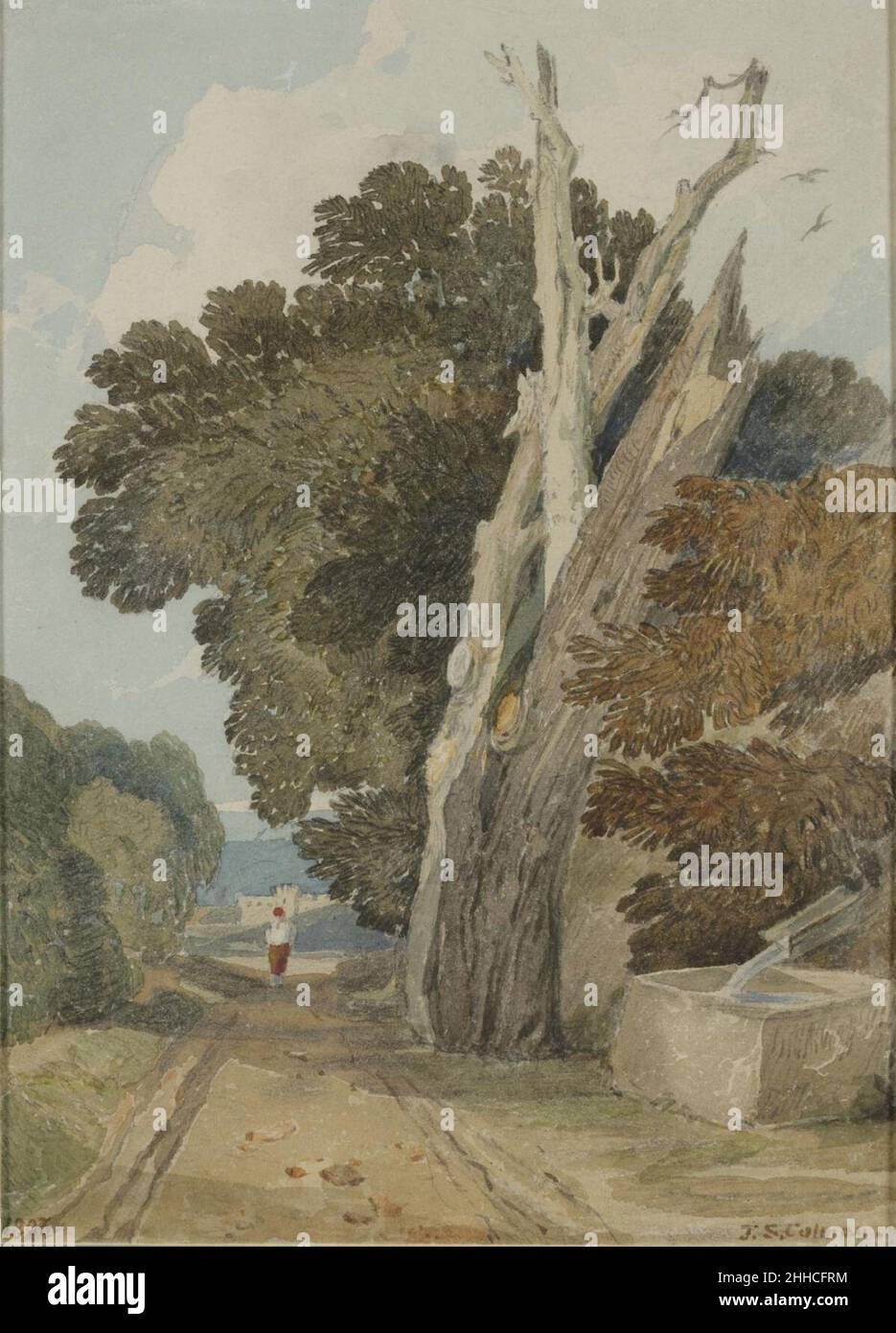 Tree struck by lightning -Fotos und -Bildmaterial in hoher Auflösung ...