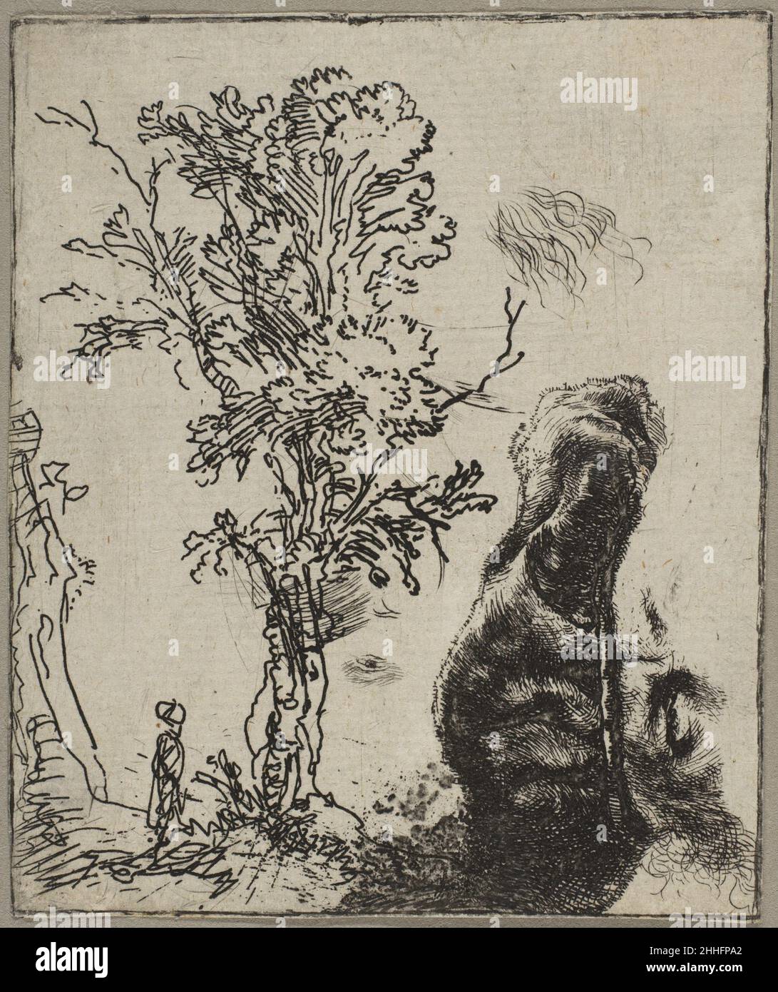 Blatt mit zwei Studien: Ein Baum und der obere Teil eines Kopfes von Rembrandt mit Samtkappe ca ...